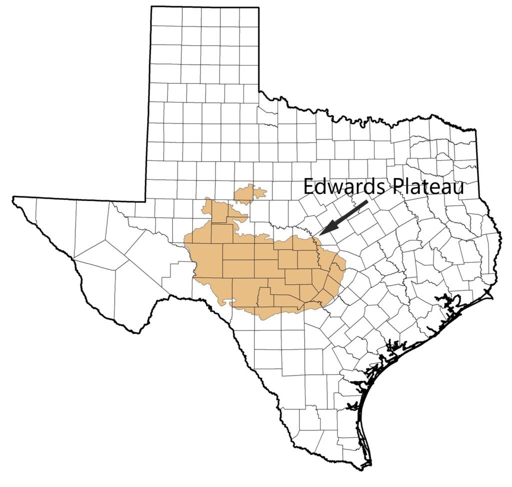 Resources - Rolling Plains Quail Research Foundation