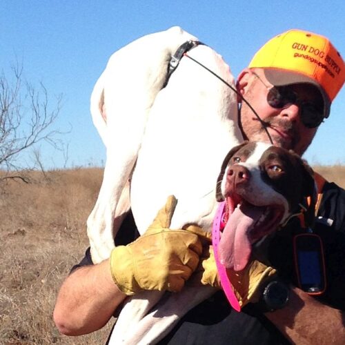 Episode 5: Who are the major predators of quail? - Rolling Plains Quail ...